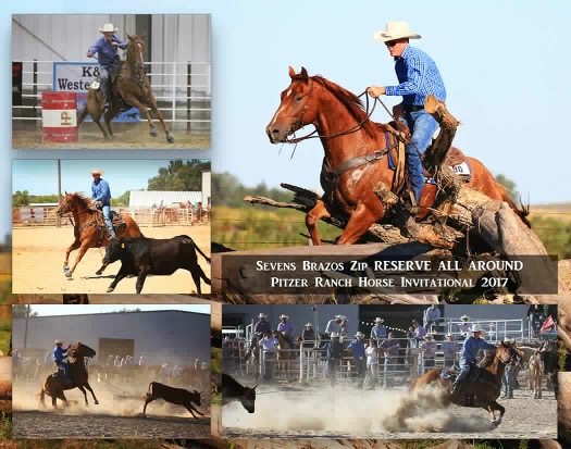 2017 HPI All Around 2nd Place Jon Pudwill & Sevens Brazos Zip – Pitzer ...