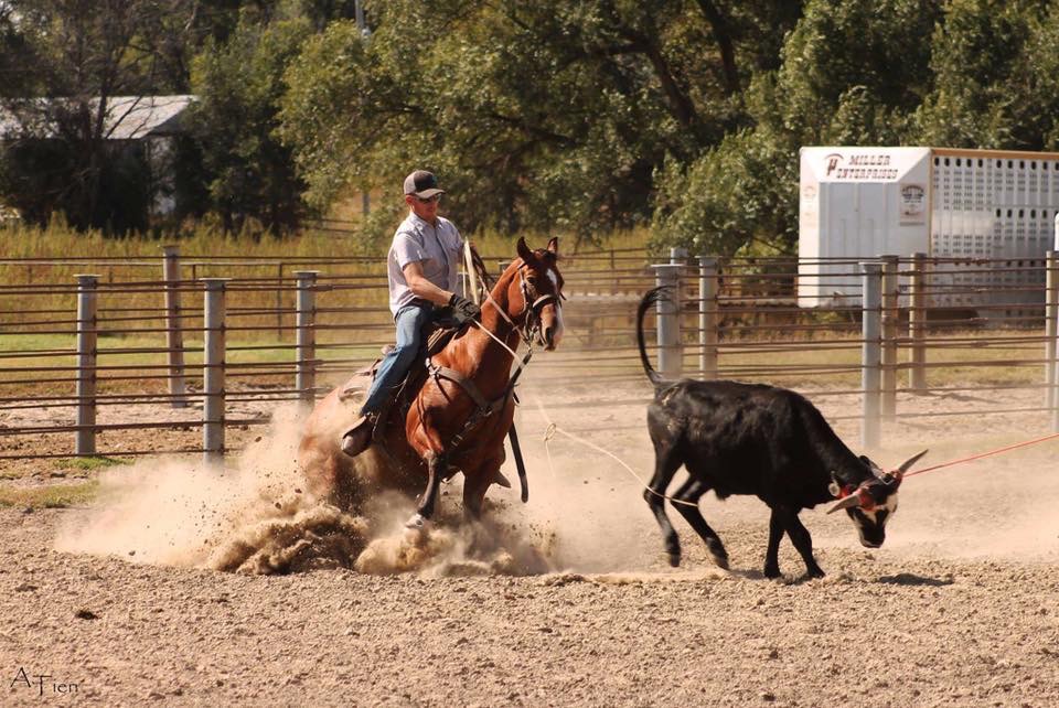 Reds Diamond Jack – Pitzer Ranch