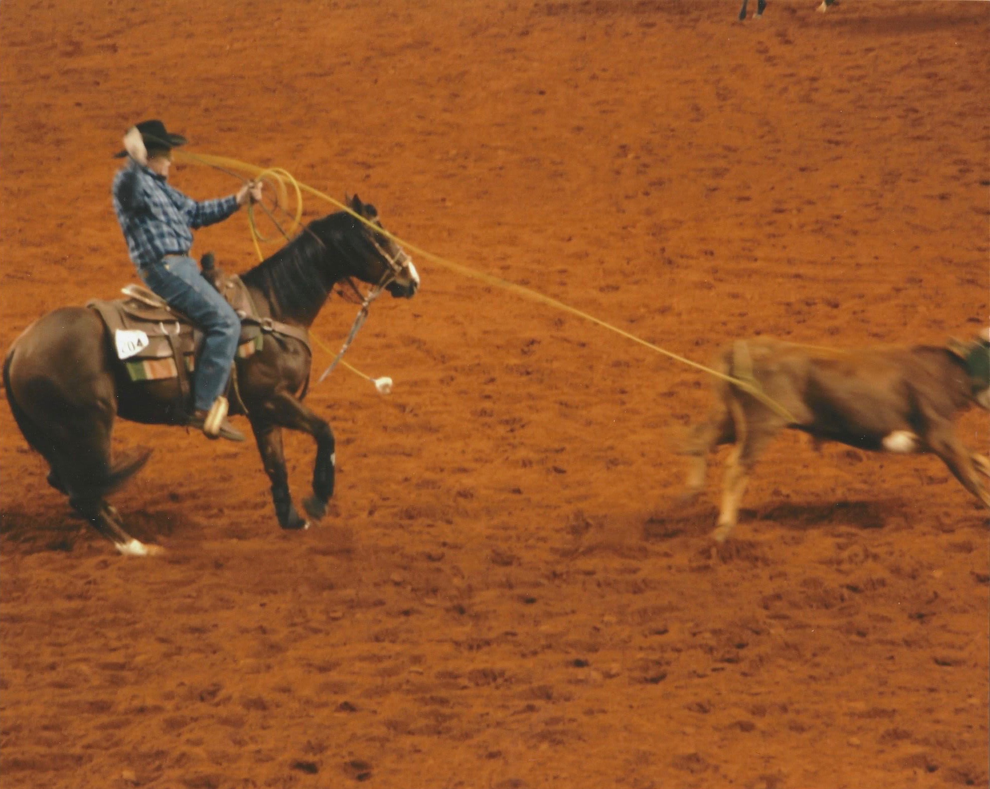 Reds Diamond Jack – Pitzer Ranch