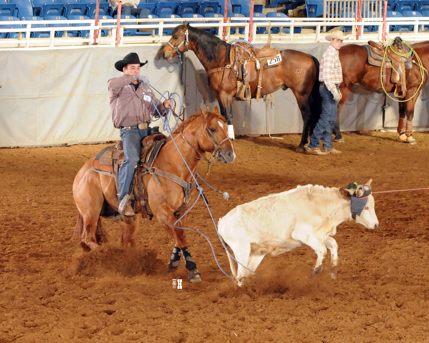 Justa Genuine Jack – Pitzer Ranch