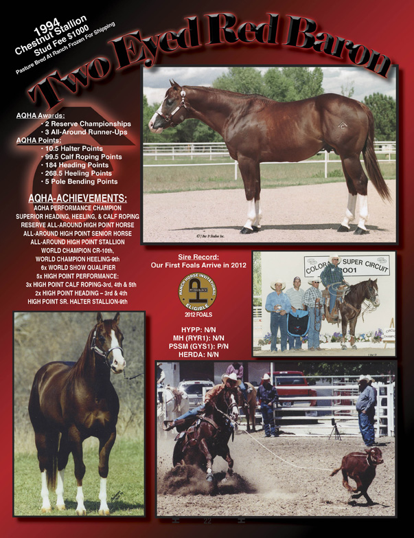 Two Eyed Red Baron – Pitzer Ranch