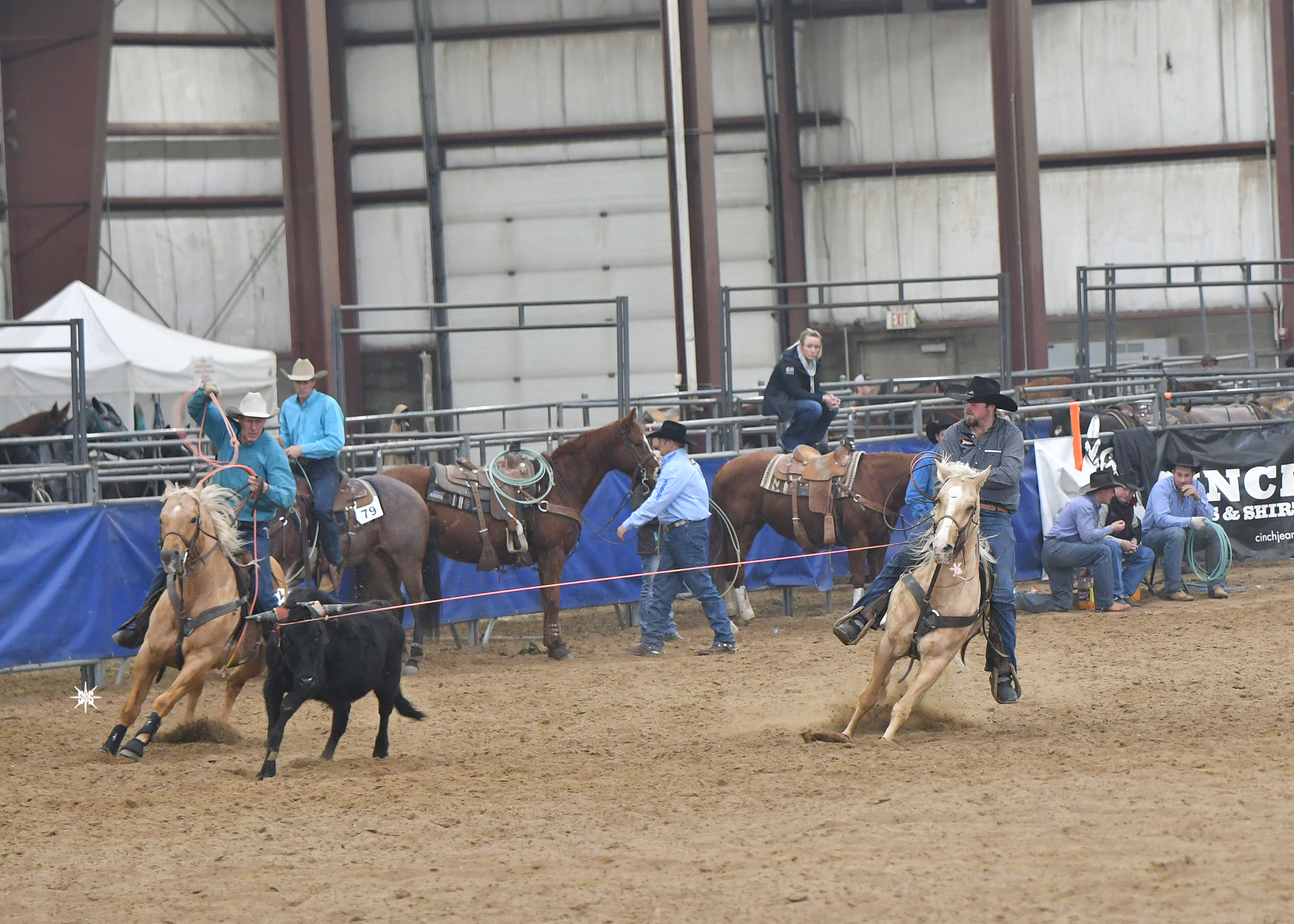 BHSS 18 HL – Pitzer Ranch