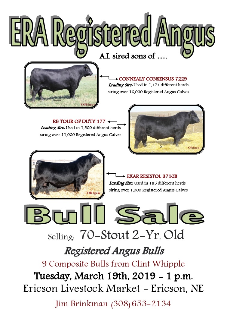 2019-bull-sale-cover_no_background – Pitzer Ranch