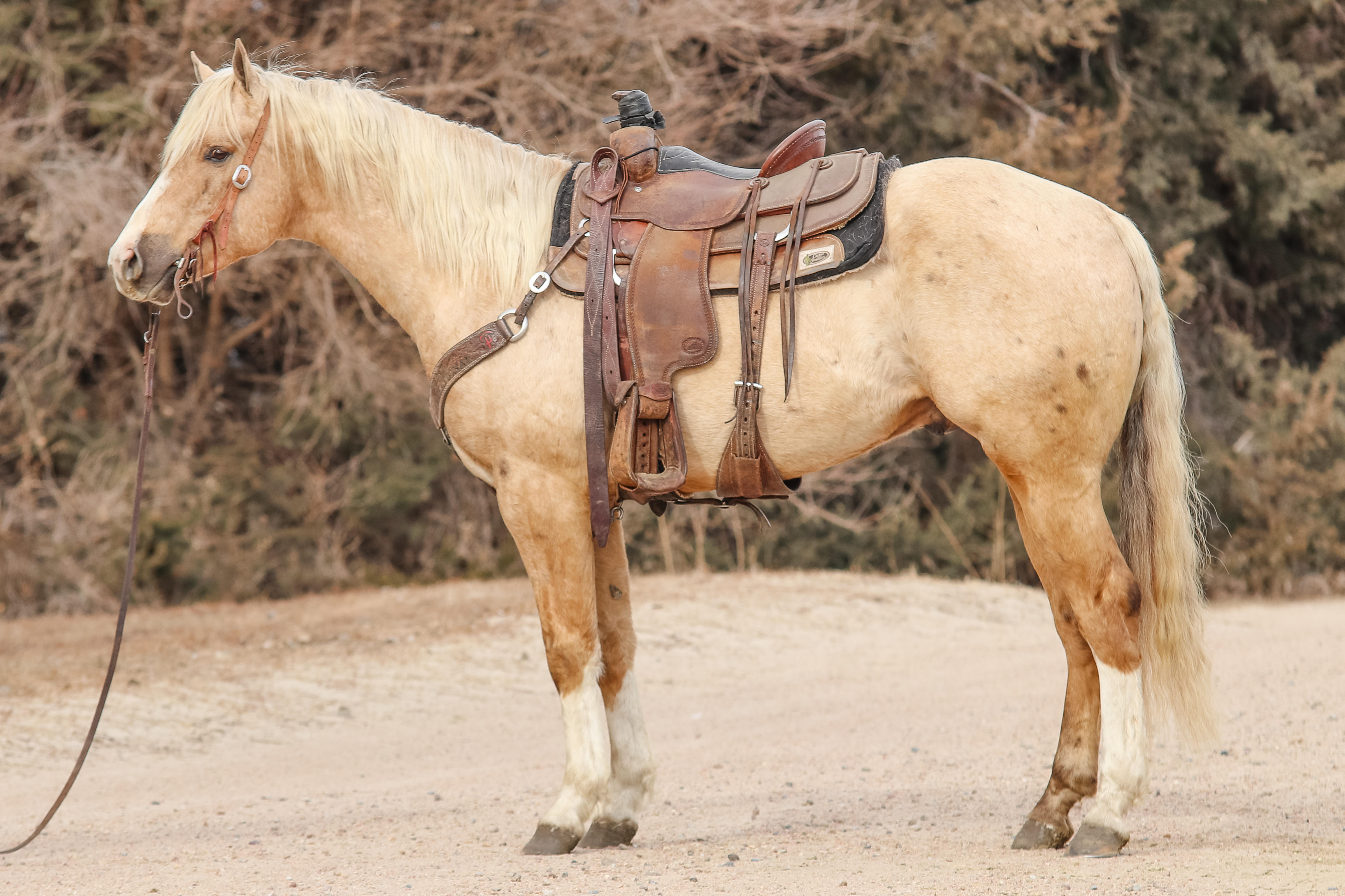 2-4 – Pitzer Ranch