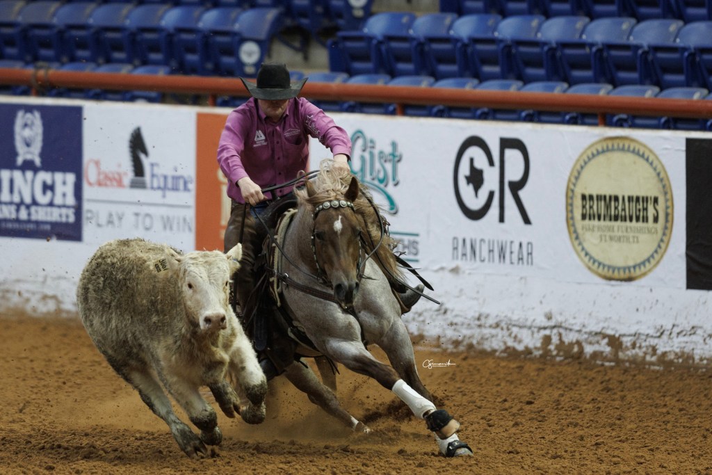 METALLIC CASANOVA – Pitzer Ranch