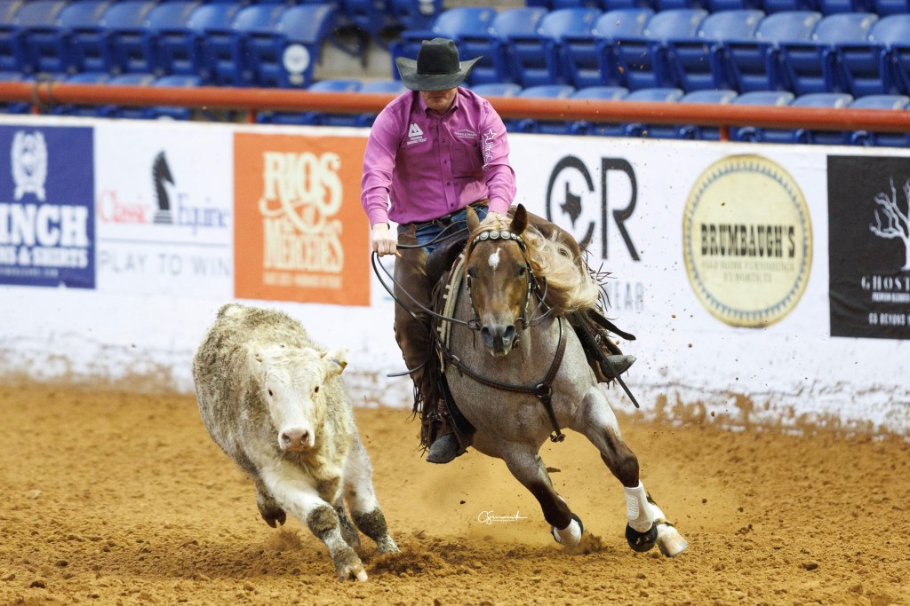 METALLIC CASANOVA – Pitzer Ranch