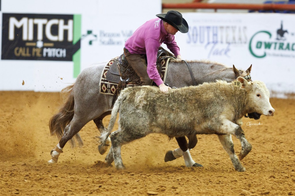 METALLIC CASANOVA – Pitzer Ranch