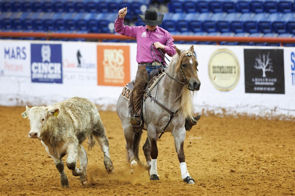 METALLIC CASANOVA – Pitzer Ranch